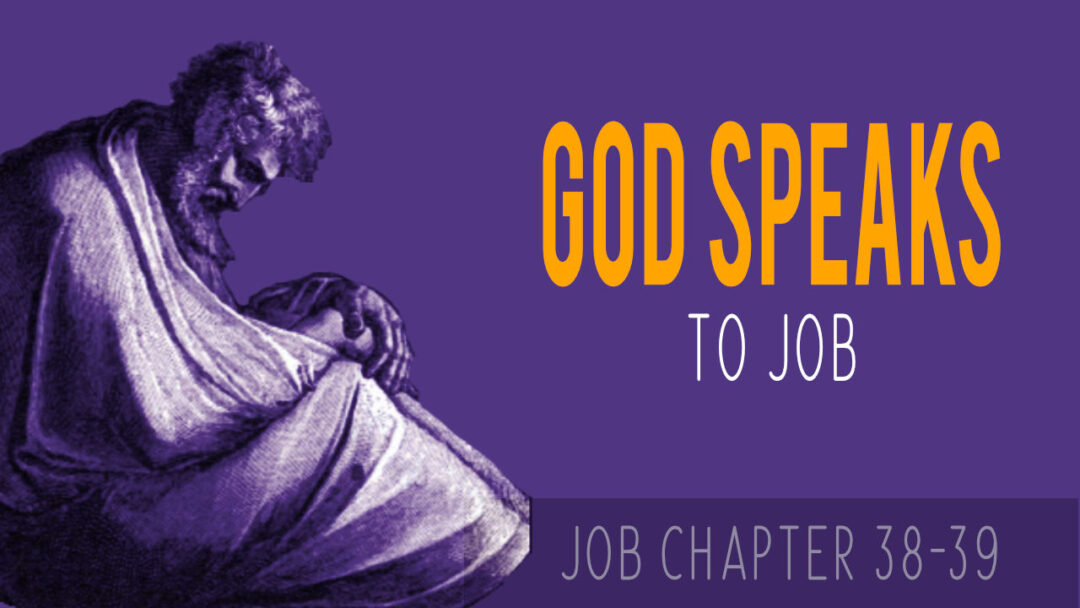 A Study of Job