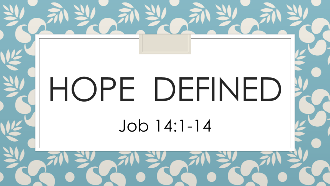 Lifeway Bible Studies